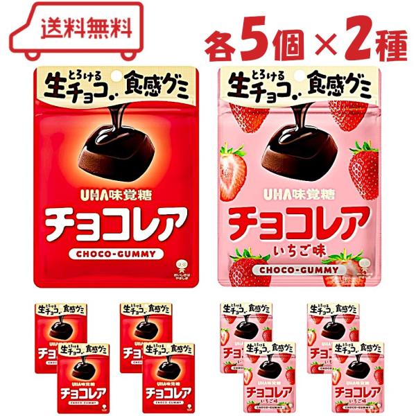 噛むと口の中でとろっとろけるなめらか食感のグミ( 送料無料 迅速配送 詰合わせ 詰合せ 詰合 つめあわせ 詰め合わせ まとめ買い おやつ セット 限定品 アソート 食べ比べ チョコレア チョコレアいちご味 苺 いちご チョコレアグミ いちご...