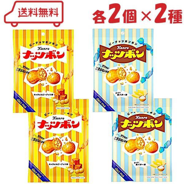 パッケージもレトロかわいい、ナッツボン2種類の アソート 詰め合わせ セット です。( 送料無料 迅速配送 詰合わせ 詰合せ 詰合 つめあわせ 詰め合わせ まとめ買い おやつ セット 大容量 業務用 個包装 アメ キャンディ 飴 コーティン...