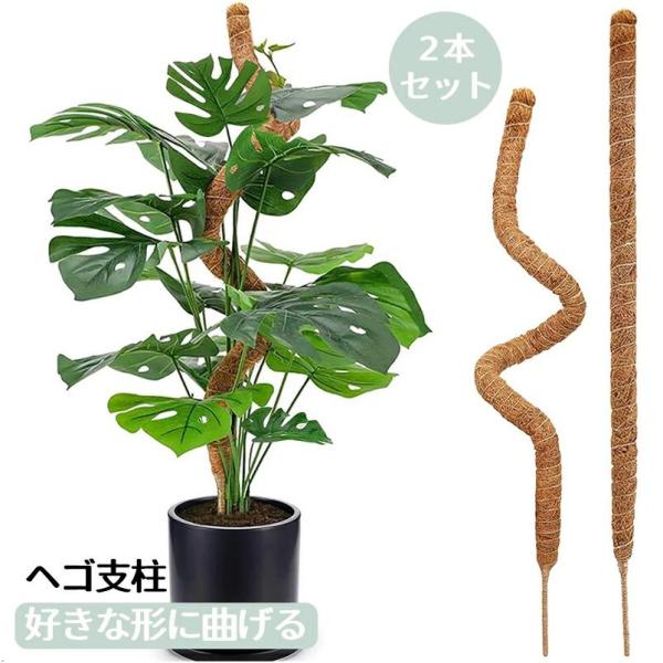 ヘゴ支柱は、天然のココナッツ繊維を使用した丈夫で環境に優しい園芸支柱です。2本セットでお届けしますので、モンステラやつる性植物、観葉植物の誘引や支えにぴったり。好きな形に曲げて使えるため、植物の成長に合わせて柔軟に対応できます。【商品特徴】...