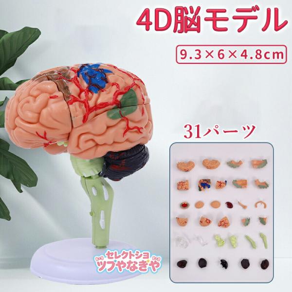 商品説明 サイズ:9.3*6.1*4.8cm素材:PVC特別サービス 大量購入を承っております。詳細については店舗までお問い合わせください。他のモデルをお探しの場合は、お気軽にお問い合わせください。関連キーワード（本商品の説明ではありません...