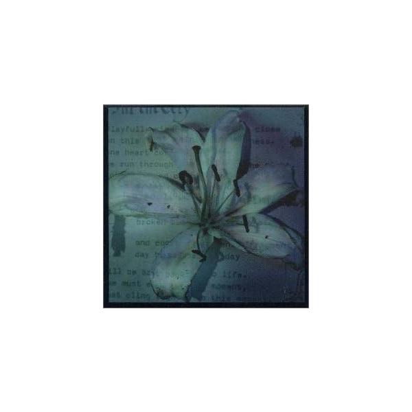 中古につき手入れ作業（研磨＆特殊ケースは除き中古ケースから新品ケースへの交換）を行っております。経年劣化により稀に視聴不可となってしまっている場合がございますので、不良の場合はお問い合わせまでご連絡下さい。