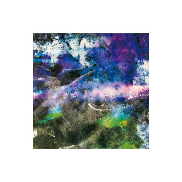 【種別】CD【帯について】ケースの外側に付属しているキャッチコピーが書かれている用紙のことです。【状態】正常動作確認済み【その他】一部商品は特殊ケースは除き中古ケースから新品ケースへの交換を行っております。※特殊ケースの場合は傷がある場合が...