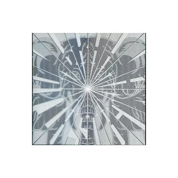 【種別】CD【帯について】ケースの外側に付属しているキャッチコピーが書かれている用紙のことです。【状態】正常動作確認済み【その他】一部商品は特殊ケースは除き中古ケースから新品ケースへの交換を行っております。※特殊ケースの場合は傷がある場合が...