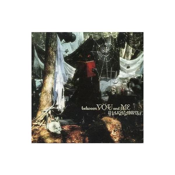 【種別】CD【帯について】ケースの外側に付属しているキャッチコピーが書かれている用紙のことです。【状態】正常動作確認済み【その他】一部商品は特殊ケースは除き中古ケースから新品ケースへの交換を行っております。※特殊ケースの場合は傷がある場合が...