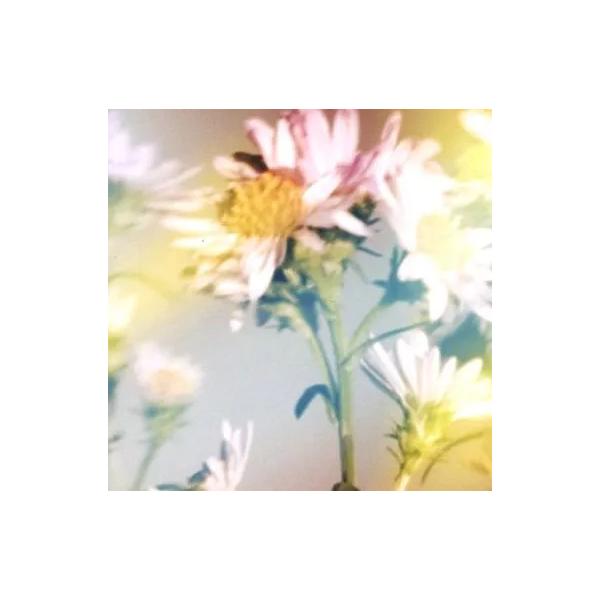 【種別】CD【帯について】ケースの外側に付属しているキャッチコピーが書かれている用紙のことです。【状態】正常動作確認済み【その他】一部商品は特殊ケースは除き中古ケースから新品ケースへの交換を行っております。※特殊ケースの場合は傷がある場合が...