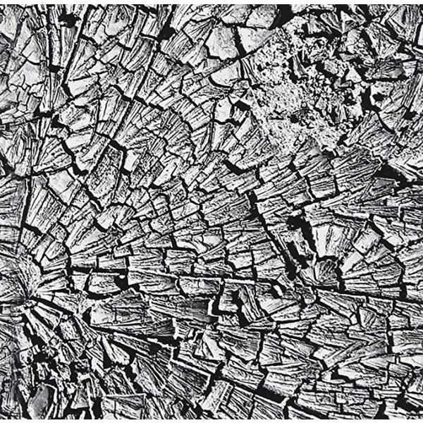 中古につき手入れ作業（研磨＆特殊ケースは除き中古ケースから新品ケースへの交換）を行っております。経年劣化により稀に視聴不可となってしまっている場合がございますので、不良の場合はお問い合わせまでご連絡下さい。