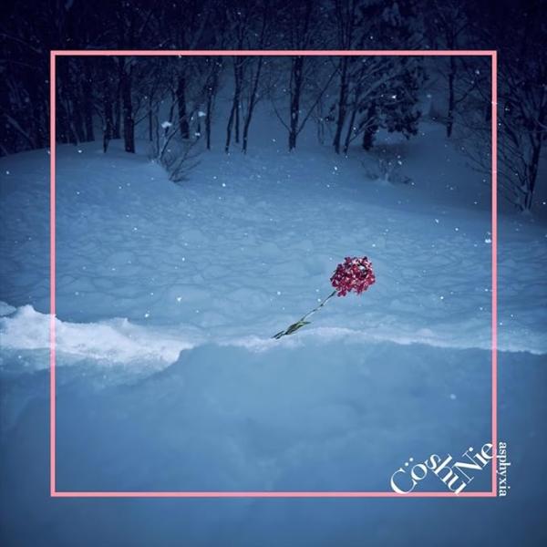 中古につき手入れ作業（研磨＆特殊ケースは除き中古ケースから新品ケースへの交換）を行っております。経年劣化により稀に視聴不可となってしまっている場合がございますので、不良の場合はお問い合わせまでご連絡下さい。