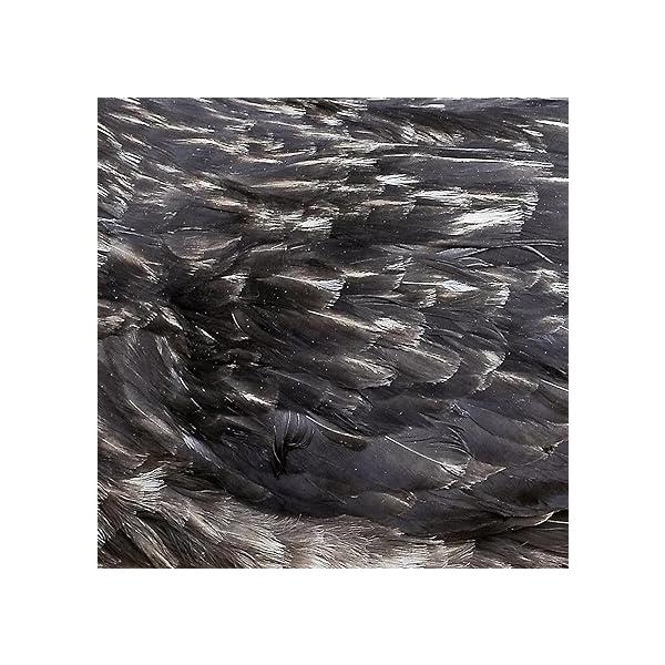 中古につき手入れ作業（研磨＆特殊ケースは除き中古ケースから新品ケースへの交換）を行っております。経年劣化により稀に視聴不可となってしまっている場合がございますので、不良の場合はお問い合わせまでご連絡下さい。