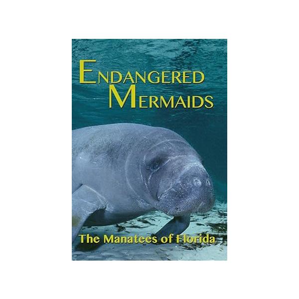 【種別】DVD【帯について】ケースの外側に付属しているキャッチコピーが書かれている用紙のことです。【状態】正常動作確認済み【その他】一部商品は特殊ケースは除き中古ケースから新品ケースへの交換を行っております。※特殊ケースの場合は傷がある場合...