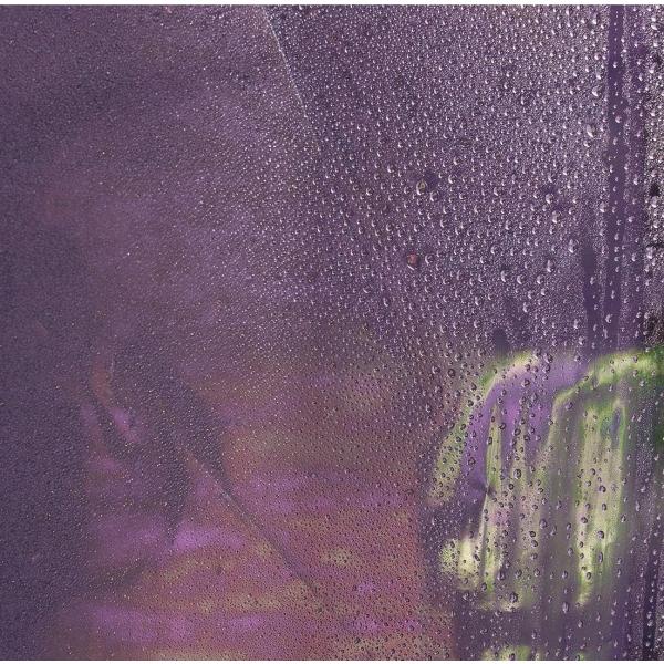 【種別】CD【帯について】ケースの外側に付属しているキャッチコピーが書かれている用紙のことです。【状態】正常動作確認済み【その他】一部商品は特殊ケースは除き中古ケースから新品ケースへの交換を行っております。※特殊ケースの場合は傷がある場合が...