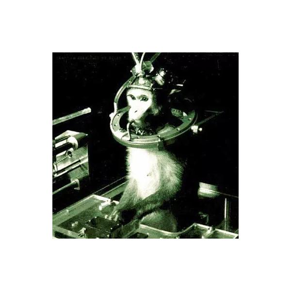 【種別】CD【帯について】ケースの外側に付属しているキャッチコピーが書かれている用紙のことです。【状態】正常動作確認済み【その他】一部商品は特殊ケースは除き中古ケースから新品ケースへの交換を行っております。※特殊ケースの場合は傷がある場合が...