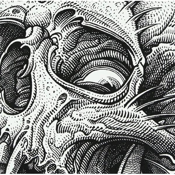 【種別】 CD/DVD【帯について】ケースの外側に付属しているキャッチコピーが書かれている用紙のことです。【状態】正常動作確認済み【その他】特殊ケースの場合は傷がある場合がございますので予めご容赦ください。【JANコード】 45714838...