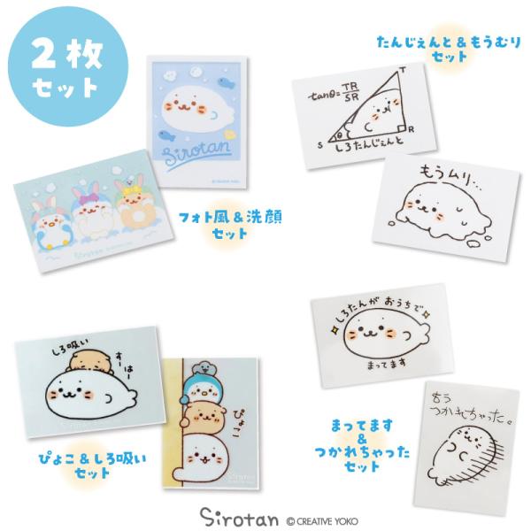 ステッカー2枚セットお好みのセットをお選びください。【セット内容】ぴょこ/しろ吸い 各1枚2枚セットまってます/つかれちゃった 各1枚2枚セットしろたんじぇんと/もうムリ… 各1枚2枚セットフォト風/洗顔 各1枚2枚セット【サイズ】5×7c...