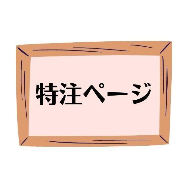 特注ページのため一般の方はご遠慮ください。御注文時にホワイトまたは透明を【ご要望欄】に御記載お願い致します。