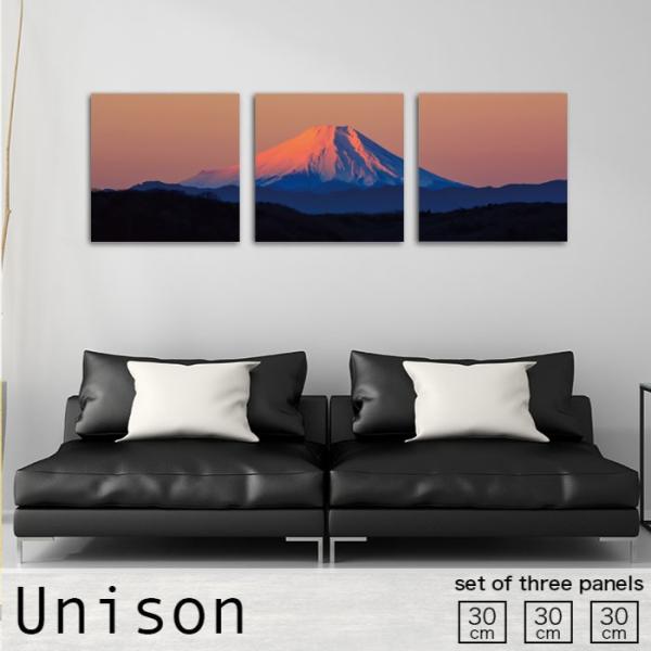 ※必ずご確認下さい。【商品種類】ファブリックパネル【商品サイズ】30cm × 30cm/3枚セット【付属品】簡易説明書/パネル用金具プレート6枚（ネジ付き）/吊り糸【商品説明】木枠にデザインを印刷した生地を貼り付けた自社オリジナルのファブリ...