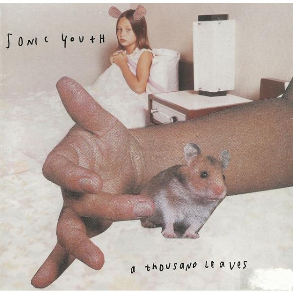 タイトル：　A Thousand Leavesアーティスト：　Sonic Youth　ソニック・ユース※中古品ですので、歌詞カードの色褪せ・折れ・汚れなどがある場合がございます
