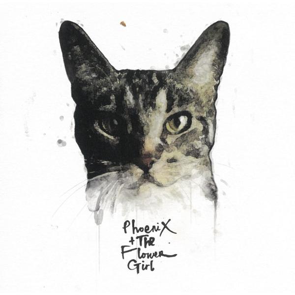 タイトル：　NALAアーティスト：　Phoenix and the Flower Girl※中古品ですので、歌詞カードの色褪せ・折れ・汚れなどがある場合がございます