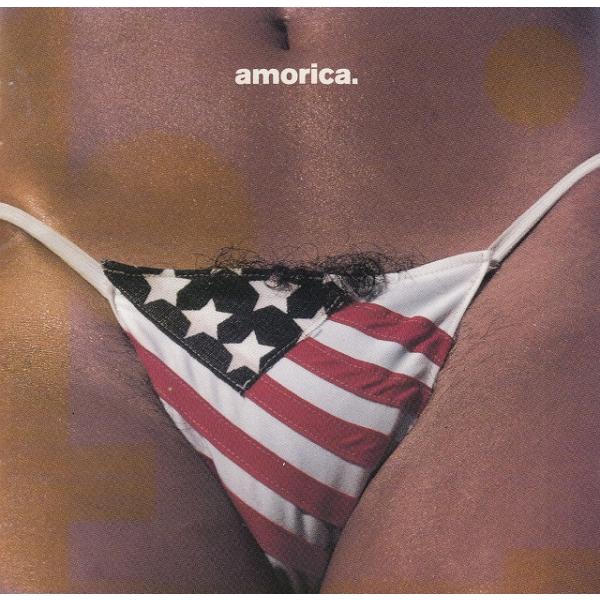 タイトル：　amorica.アーティスト：　THE BLACK CROWES　ブラック・クロウズ※中古品ですので、歌詞カードの色褪せ・折れ・汚れなどがある場合がございます