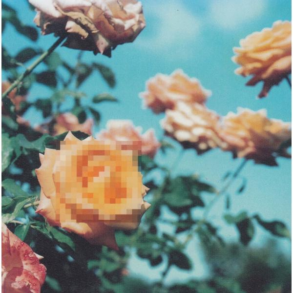 タイトル：　Relationアーティスト：　globe※中古品ですので、歌詞カードの色褪せ・折れ・汚れなどがある場合がございます