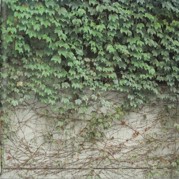 タイトル：　SMASHING ANTHEMSアーティスト：　水樹奈々※中古品ですので、歌詞カードの色褪せ・折れ・汚れなどがある場合がございます