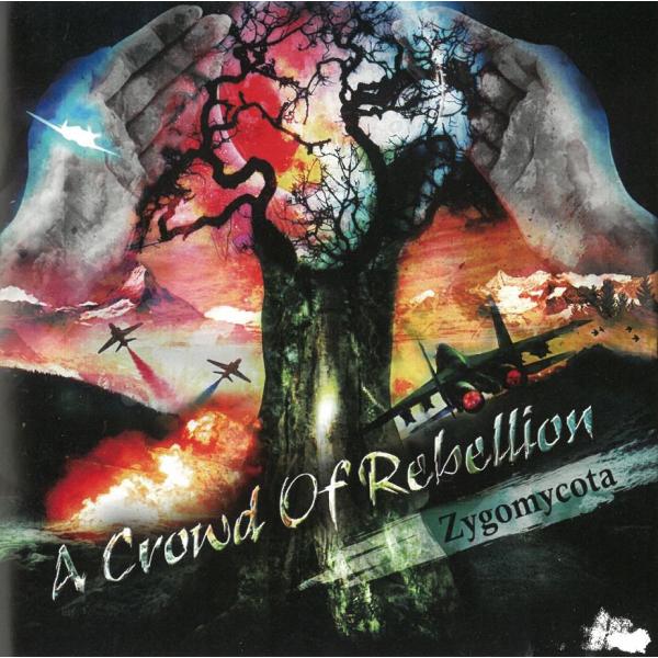 タイトル：　Zygomycotaアーティスト：　a crowd of rebellion※中古品ですので、歌詞カードの色褪せ・折れ・汚れなどがある場合がございます