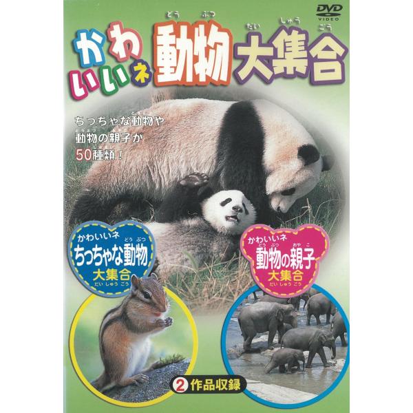 タイトル：　かわいいネ動物大集合　ちっちゃな動物大集合　動物の親子大集合出演者：　※中古品ですので、ジャケット等の紙の色褪せ・折れ・汚れなどがある場合がございます
