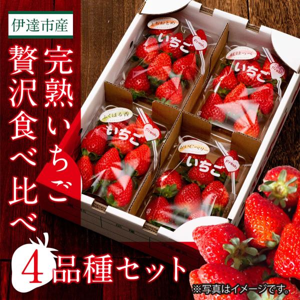 【発売日：2026年01月05日】朝晩の寒暖差・季節による気温差が大きいという盆地特有の気候と、県北地方を流れる阿武隈川流域の肥沃の大地が生み出した自然豊かな果物王国、福島県伊達市。伊達市でおいしさにこだわり、丹精込めて、一粒一粒丁寧に育て...
