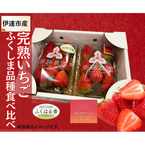 【発売日：2026年01月05日】朝晩の寒暖差・季節による気温差が大きいという盆地特有の気候と、県北地方を流れる阿武隈川流域の肥沃の大地が生み出した自然豊かな果物王国、福島県伊達市。伊達市でおいしさにこだわり、丹精込めて、一粒一粒丁寧に育て...