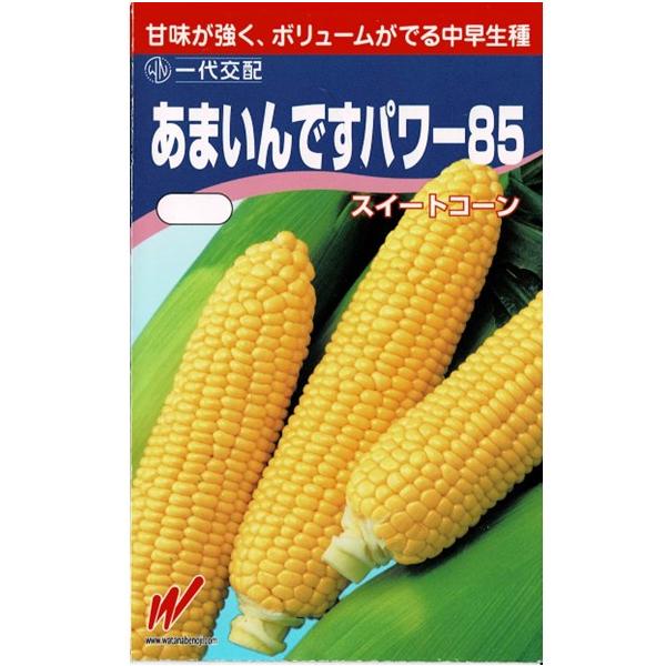 容量　12 ml 　（約　45 粒）甘みの強い中早生種。粒皮は柔らかで、食感がよく食味も優れる。量の少ない 130円 袋もあります。
