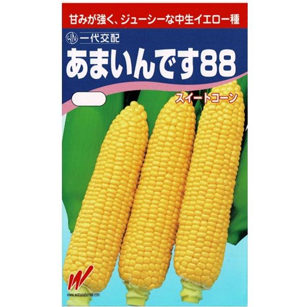 容量　5.5 ml 　（約　20 粒）甘みの強い中生種。粒皮は柔らかで、食感がよく食味も優れる。