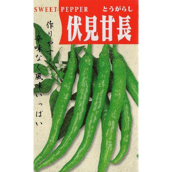 容量　0.8 ml   (約　55粒）辛みのない長型のとうがらし。焼きとうがらし、てんぷら、油いため等で利用できます。4月頃までは、温床あるいは箱蒔きにして暖かい室内などで育苗する。
