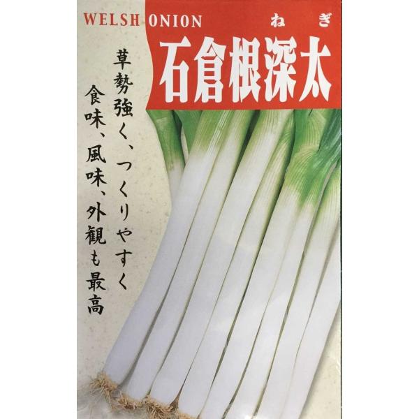 容量　　6 ml　（約 1200 粒）軟白部 40 cm くらいで見た目が良く、肉質は緻密で食味が良い。少ない 130円 袋もあります。