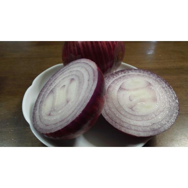 1~2日で月、水、金、土曜に発送です赤玉ねぎです大中サイズ混　有機肥料のみで作りました無農薬（殺菌殺虫除草剤一切不使用）です手収穫、天日乾燥9月にタネを撒き、11月に植え替え5月に収穫です。収穫までに9ヶ月間かかります。そんなどこにも出荷し...