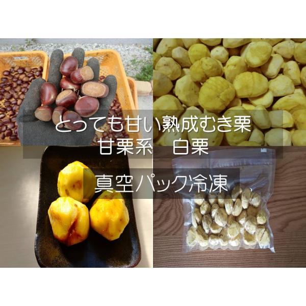 【発売日：2021年11月26日】〇とっても甘い糖度が2倍以上栗は低温で貯蔵することでデンプンを糖質に変えて甘くなります。糖度を上げるために零度で凍らないように60日間以上、特殊な貯蔵庫にて作っています。◎品種の紹介の味の特徴甘栗と和栗の二...