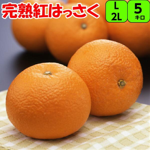 【秀品】高級 紅はっさく 完熟 5kg  L 又は 2L サイズ  送料無料甘味と酸味のバランスのとれた 特徴 紅八朔 みかん 八朔紀南 紀州 和歌山 はっさく もぎたて 完熟 濃厚 糖度 甘い 果実 フルーツ 贈答 ギフト