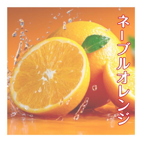 ネーブル オレンジ 3kg L 又 2L 【秀品】 送料無料　国産 ・紀南のネーブルオレンジ は、一味違います。紀南 紀州 和歌山 木熟 もぎたて 完熟 濃厚 糖度 甘い みかん フルーツ 贈答 ギフト検索ワード参考】和歌山・紀州・紀南・み...
