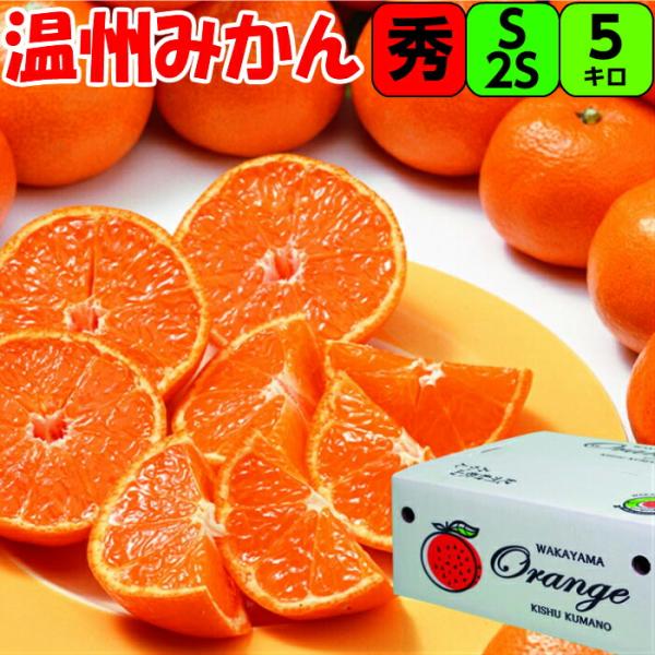 特別栽培【秀品】越冬葉付き温州みかん 2S/Sサイズ 5kg 送料無料 みかん 紀州 和歌山 紀南 温州みかん 早生みかん 木熟みかん 完熟 みかん 完熟 濃厚 糖度 甘い 小粒 みかん 小玉 みかん フルーツ 家庭用 お歳暮 ギフト 贈答...