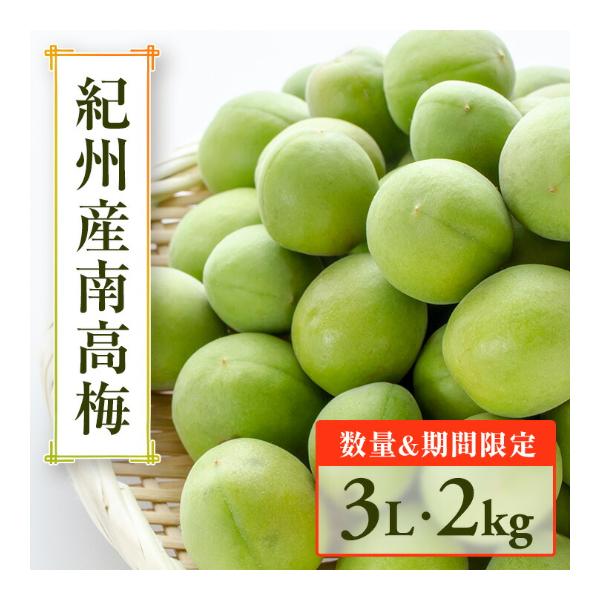 厳選南高梅 フレッシュ青梅 (生梅) 3L サイズ 2kg 大粒 厳選梅干しのブランド 送料無料 梅干し 梅干し用 梅酒用 ジャム用 梅シロップ 梅ジュース 和歌山産 紀州産 南部産 梅 うめ 梅干のブランド  手選別 大玉 ギフト 贈答用...