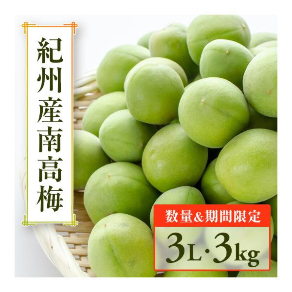 南高梅 (青梅) 3L サイズ 3kg 大粒 厳選【秀品】 送料無料 梅干し 梅干し用 梅酒用 ジャム用 梅シロップ 梅ジュース 和歌山産 紀州産 南部産 梅 うめ 梅干のブランド 厳選 手選別 大玉 ギフト 贈答用【検索参考ワード】和歌山...