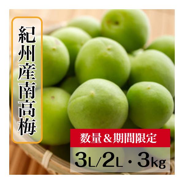 南高梅【青梅】（訳あり） 送料無料 3kg 3Ｌ/2Lサイズ （大玉・中玉）(混合の場合もあります） 和歌山県産 紀州南高梅（生梅） 雹（ひょう）被害・枝や葉などのスレ傷が入っています。梅酒・梅シロップ・梅サワーに最適です。本場 南高梅をお...
