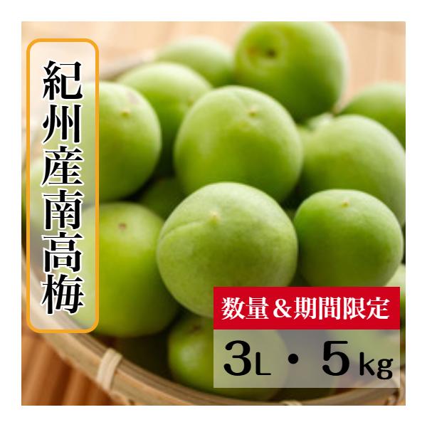 南高梅 青梅 (生梅) 3L サイズ 5kg 大粒 【秀品】 送料無料本場 和歌山産 紀州産 梅 うめ 梅干のブランド 厳選 手選別 大玉 ギフト 贈答用梅酒用 梅シロップ 梅ジュース 梅干し用に!【検索参考ワード】和歌山・紀州・紀南・みな...