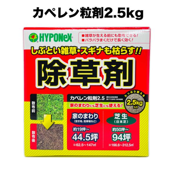 【カペレン粒剤2.5の特徴】一年生雑草のほか、防除困難なヨモギ、ギシギシ、ヤブガラシ、スギナ等の多年生雑草に効果の高い除草剤です。庭木の周辺・日本芝にも安心して使用できます。秋から春の使用で、初夏まで雑草を抑えます。商品ラベルの使用方法に従...
