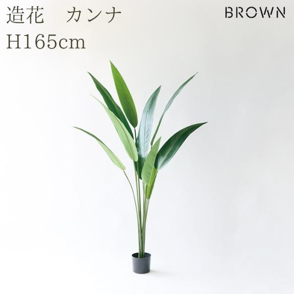 BROWNのカンナは、水やりも植え替えも不要のアーティフィシャルグリーン(高級造花)です。全高約165cmで、細い茎の先で濃淡2色の長い葉がのびやかに開き、すっきりとした足元が軽やかな印象をつくります。グリーンコーディネーターが監修し、葉の...
