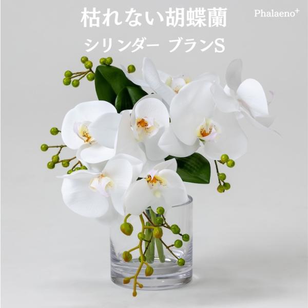 シリンダーブラン Sは、クリアな円筒花器に純白の胡蝶蘭を美しくアレンジした高級アーティフィシャルフラワーです。ガラスのような透明感をもつポリカーボネート製の器が花の清らかさを際立たせ、空間を軽やかに彩ります。国内にて一点ずつ丁寧に手仕上げ。...