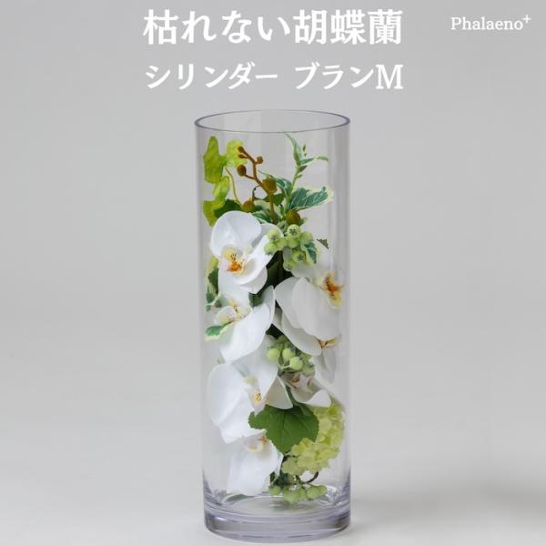 シリンダーブラン Mは、高さ約40cmのスリムなシリンダー型花器に純白の胡蝶蘭を縦に重ねるようにアレンジした高級アーティフィシャルフラワーです。透明感あふれるポリカーボネート製のベースが花の清らかさを引き立て、モダンで上質な印象を演出します...