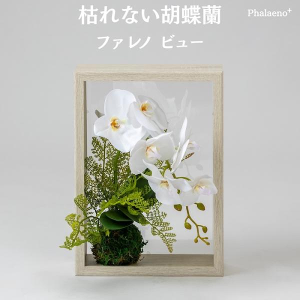 ファレノ ビューは、ナチュラルな木目フレームに白胡蝶蘭を立体的にあしらったインテリア性の高い高級アーティフィシャルフラワーです。奥行きのある構造が花とグリーンに自然な陰影を生み、空間に上品なアクセントをもたらします。木製×アクリルの花器がナ...