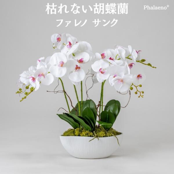 ファレノ サンクは、大輪の白胡蝶蘭を贅沢にあしらったシリーズ最大級の高級アーティフィシャルフラワーアレンジメントです。幅約61cm、高さ約60cmの堂々たるスケールが、エントランスやロビーに格調高い華やぎをもたらします。陶器の花器が重厚感を...