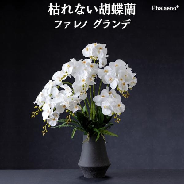 ファレノ グランデは、純白の胡蝶蘭を贅沢にあしらい重厚なブラックベースに合わせた最上位クラスの高級アーティフィシャルフラワーアレンジメントです。高さ約90cmの堂々たるスケールが空間に圧倒的な存在感と格調をもたらします。揺るぎない威厳を湛え...
