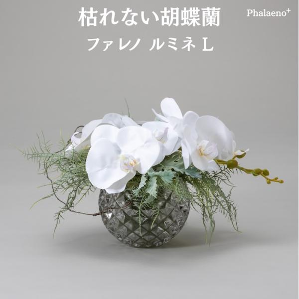 ファレノ ルミネLは、透明感あふれる白胡蝶蘭と繊細なグリーンを組み合わせた高級アーティフィシャルフラワーアレンジメントです。低めに横広がりのデザインが空間にゆとりと落ち着きをもたらし、受付やロビー、役員室など格式ある場所にも自然に溶け込みま...