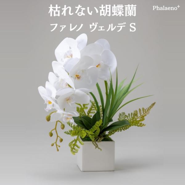 ファレノ ヴェルデ Sは、清らかな白胡蝶蘭と鮮やかなグリーンを組み合わせた高級アーティフィシャルフラワーアレンジメントです。高さ約40cmの縦に伸びる美しいラインが受付やロビーに洗練された印象を与えます。陶器の花器が上品さを引き立てます。国...